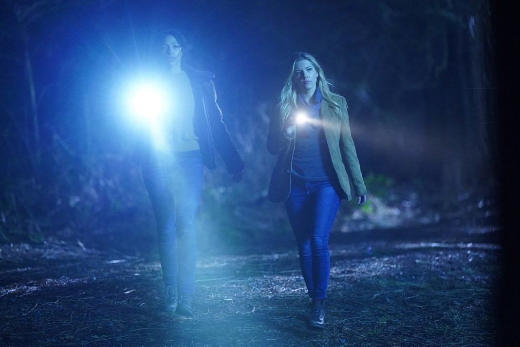 Big Sky Episode 12 Recap No Better Than Dogs Big Sky Episode 12 Recap No Better Than Dogs