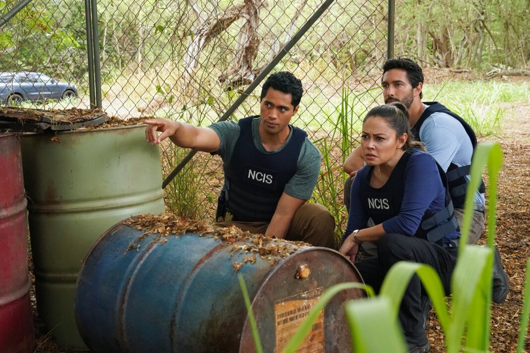 NCIS: Hawaii Season 2 Episode 9 Photos, Plot and Cast