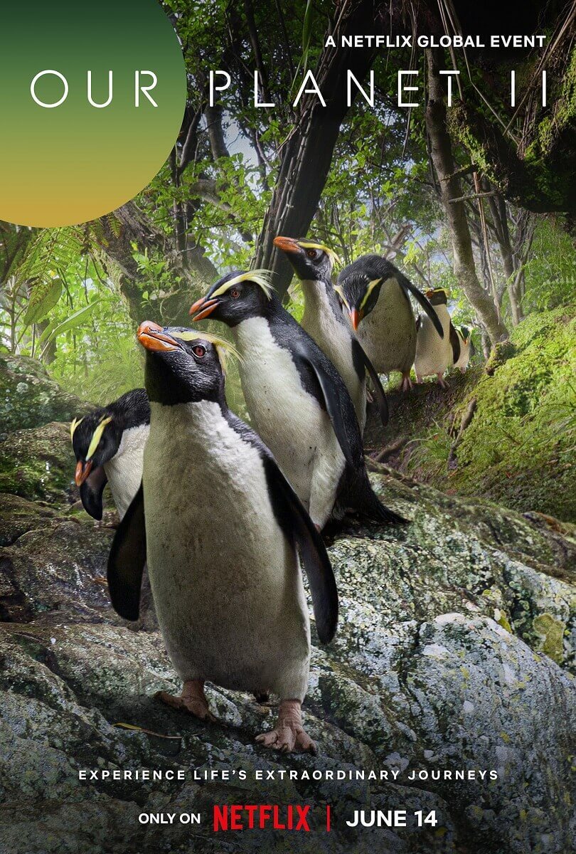 Our Planet II Teaser, Photos and Premiere Date