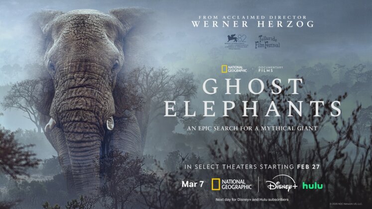 Ghost Elephants Trailer: Werner Herzog's New Doc