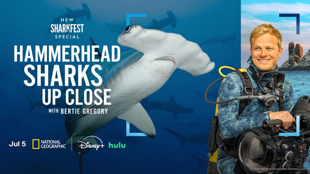 Sharkfest 2026 Lineup: Bertie Gregory, Hammerheads & Makos